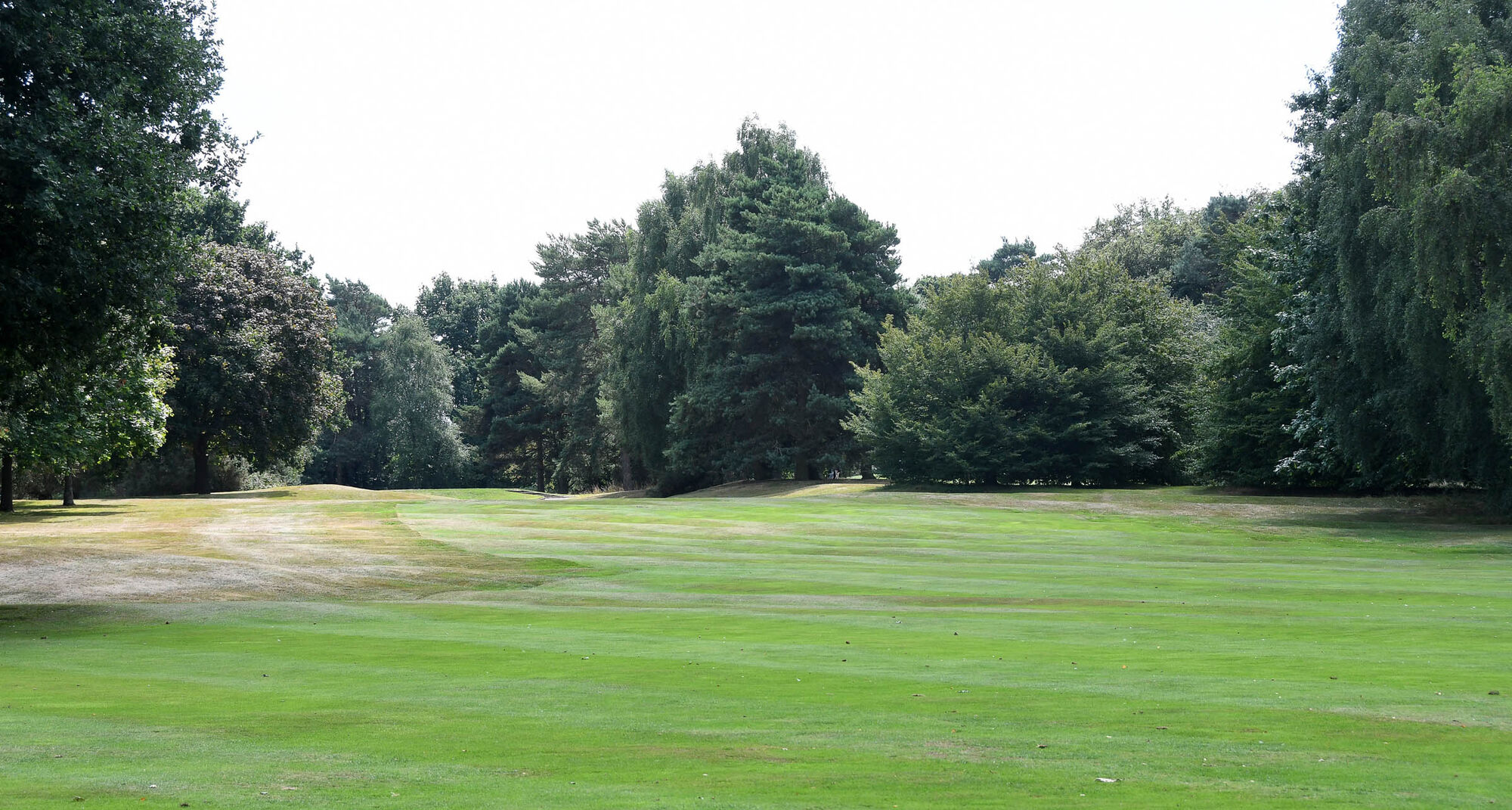 6th Hole :: Copt Heath Golf Club Solihull